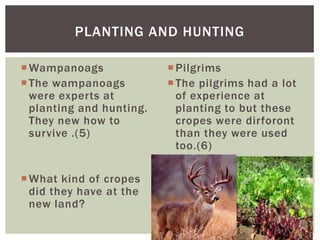 Claire timmy thanksgiving | PPT