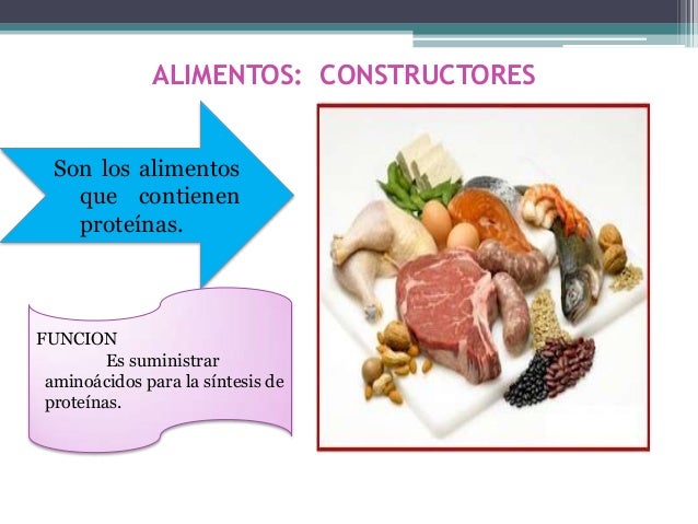 Los alimentos constructores imagenes - Imagui