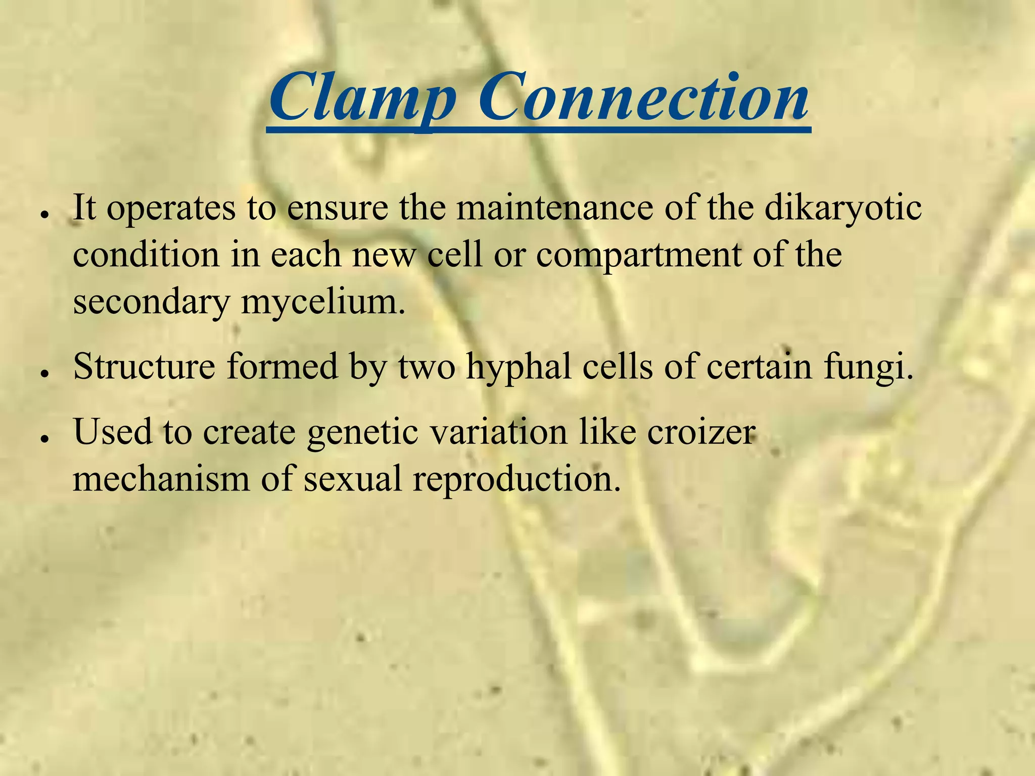 Clamp connectins | PPTX