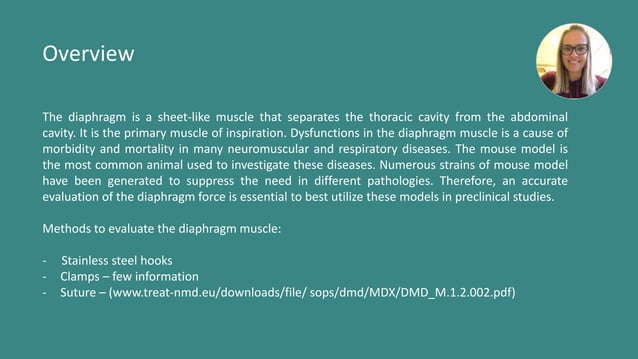 An improved method for studying mouse diaphragm function | PPTX | Lung ...