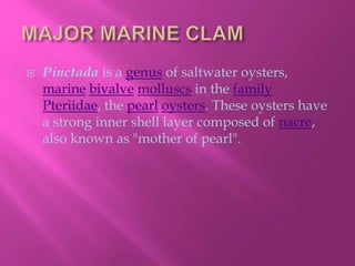 Pearl culture | PPTX