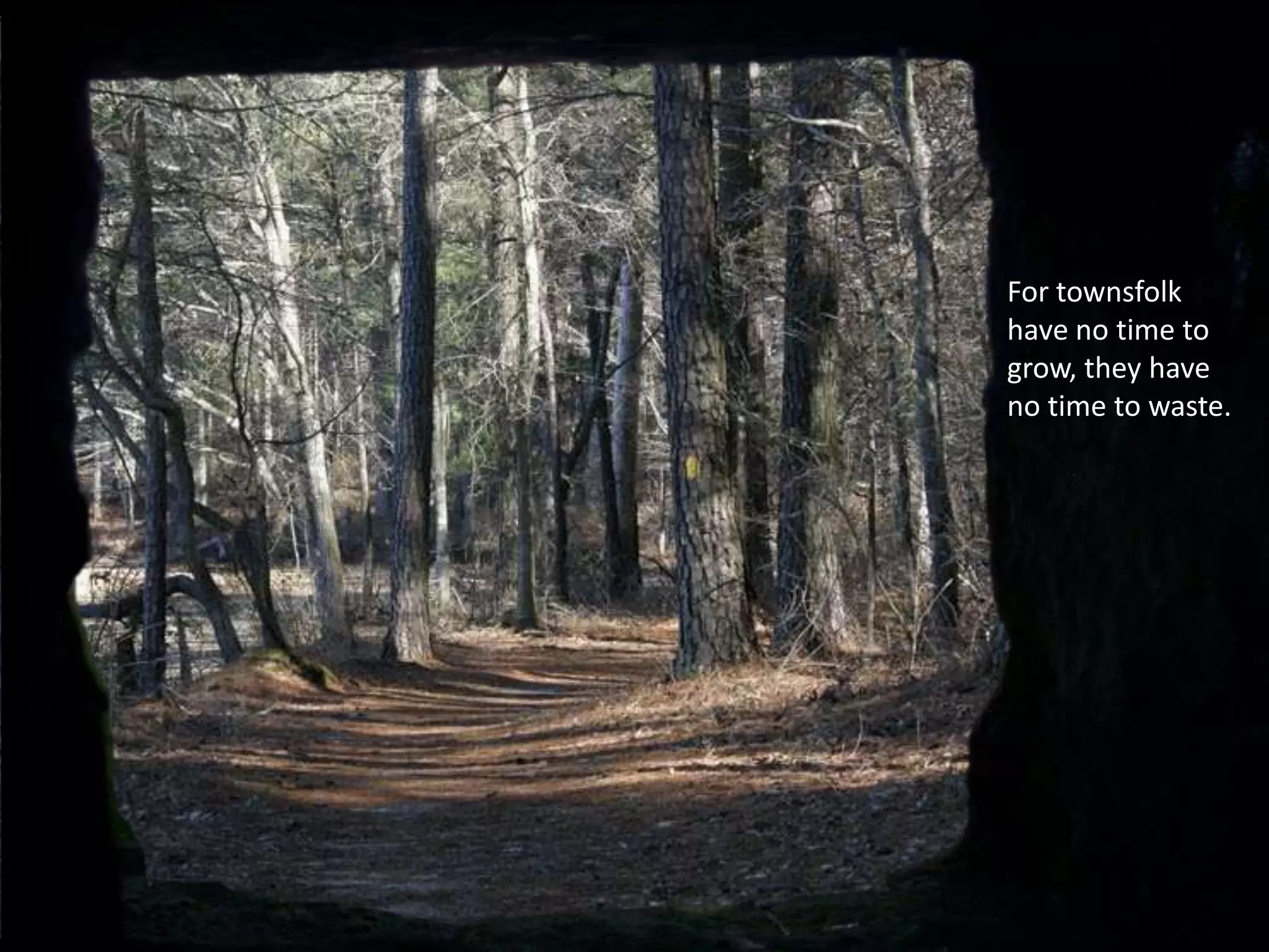 Clancy of the overflow | PPSX | Poetry | Books and Literature