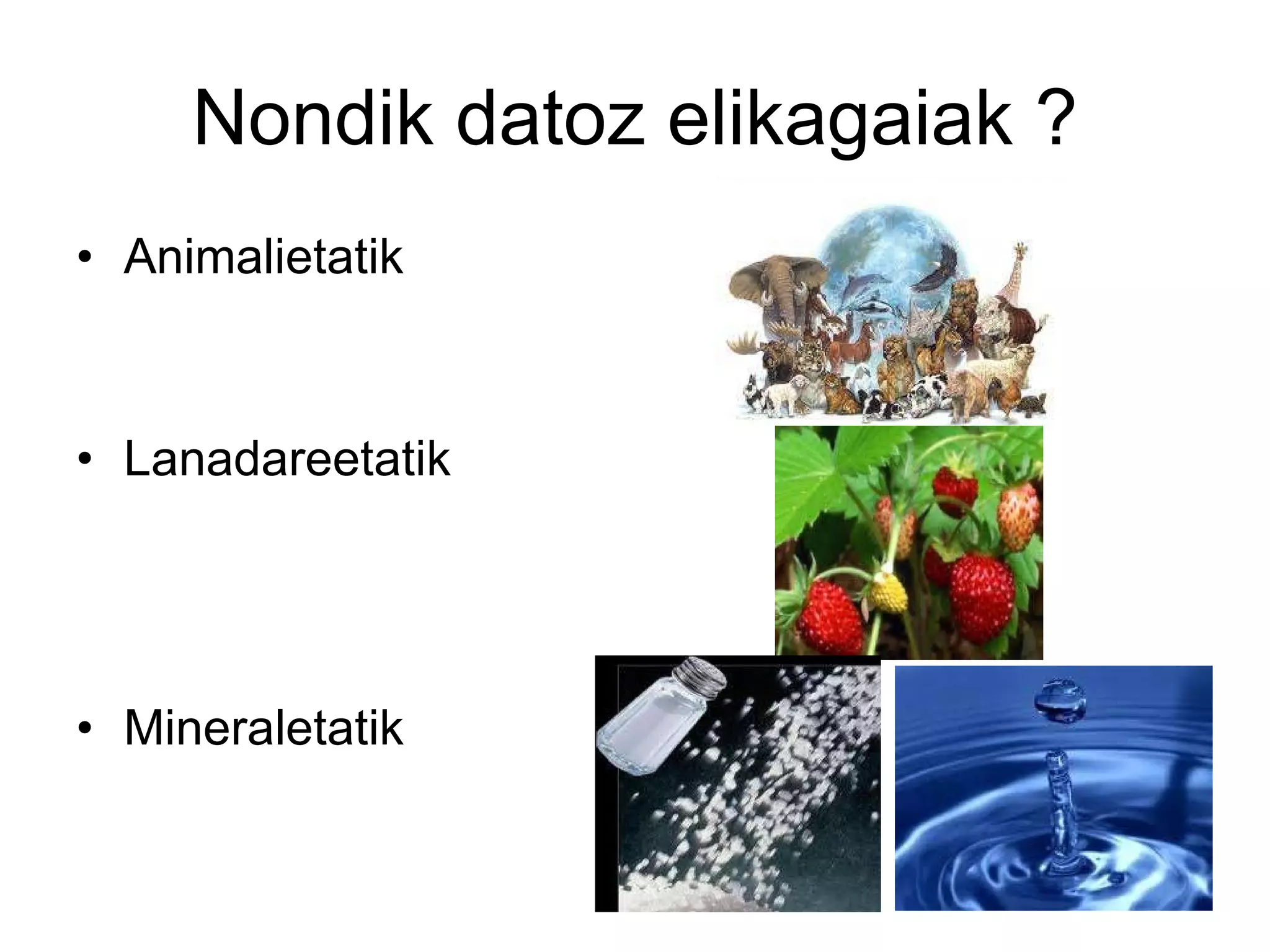 ELIKADURA Clara igor eta kepa | PPT