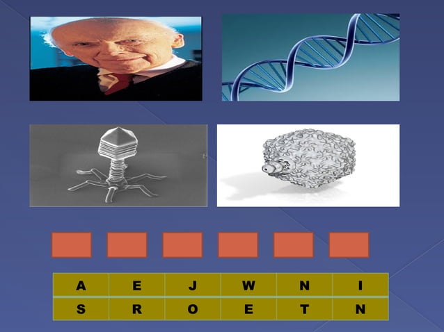 project in biotechnology_claribel_ria mae.pptx