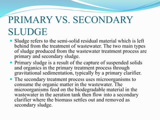 Clarifire | PPTX | Gardening | Home & Garden