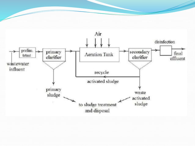 Clarifire | PPTX | Gardening | Home & Garden
