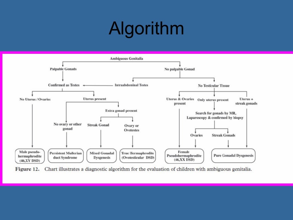 Clarifying ambiguous genitalia