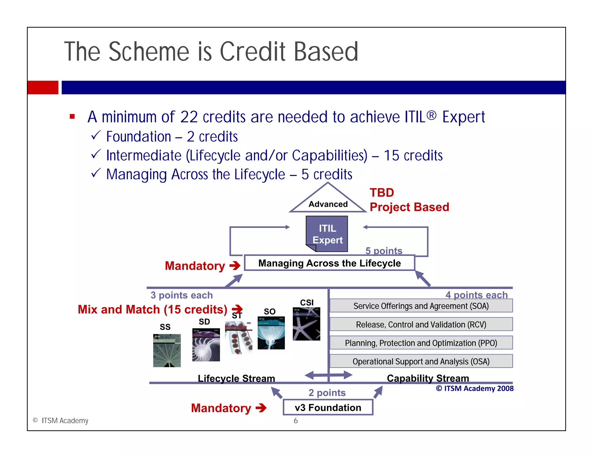 Clarifying ITIL Lifecycle And Capability Courses | PDF | Information Services Industry | Industries