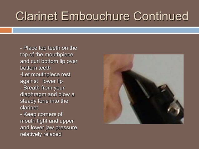 Clarinet Power Point | PPTX | Musical Instruments | Hobbies & Interests