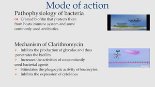 Clarithromycin | PPTX