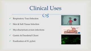 Clarithromycin | PPTX