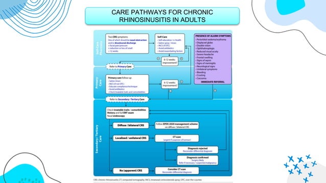 Clarithromycin effect in chronic rhinosinusitis 1.pptx