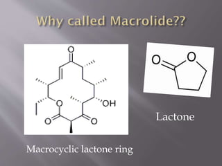 Clarithromycin present by sarim ..... | PPTX
