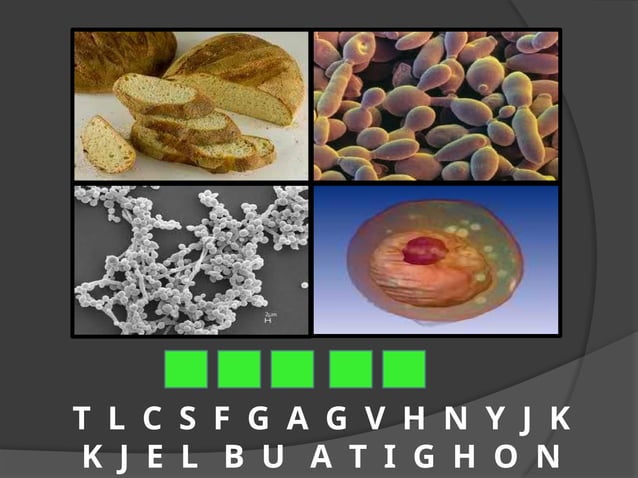 rdna technology_clarizel_mary shell.pptx