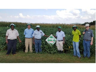 USAID soybean project in Ghana and other African countries | PPT