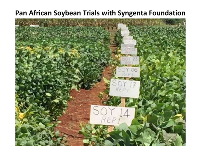 USAID soybean project in Ghana and other African countries | PPT