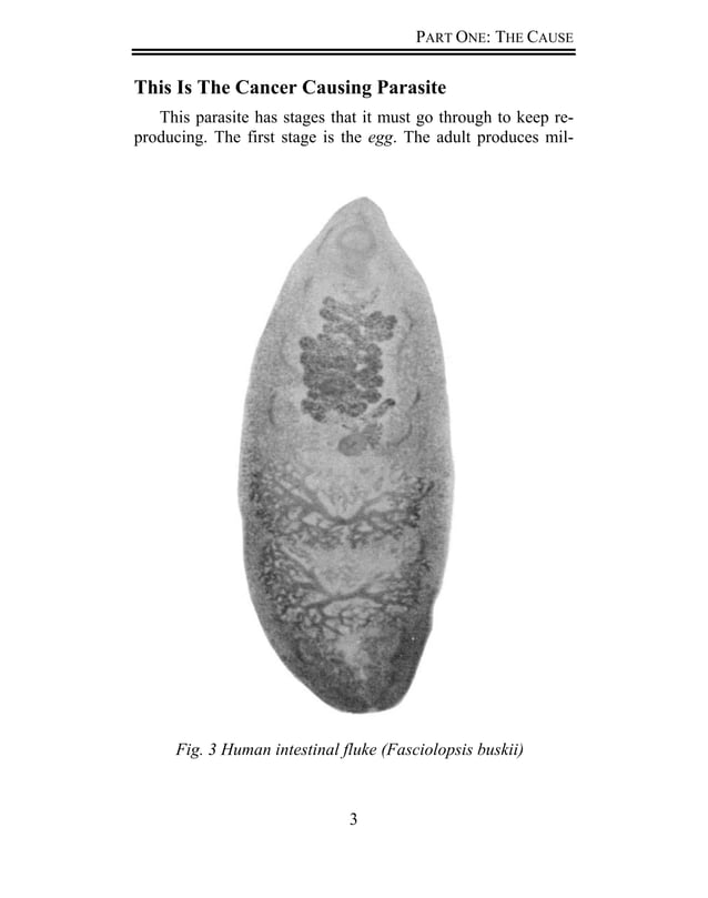 Clark, hulda the cure for all cancers | PDF