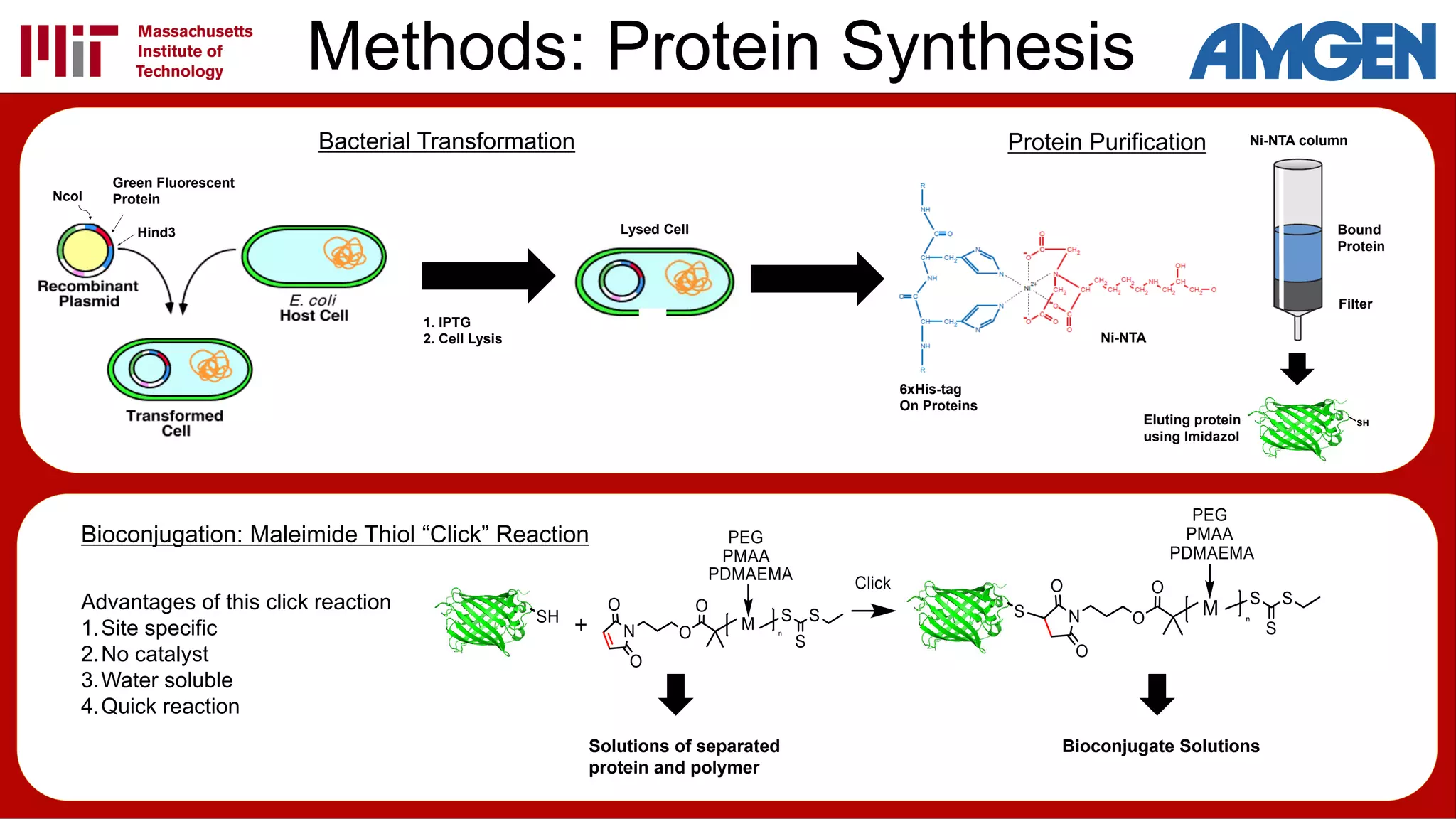 MIT Amgen Scholar Presentation | PDF