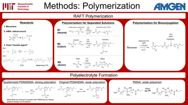 MIT Amgen Scholar Presentation | PDF