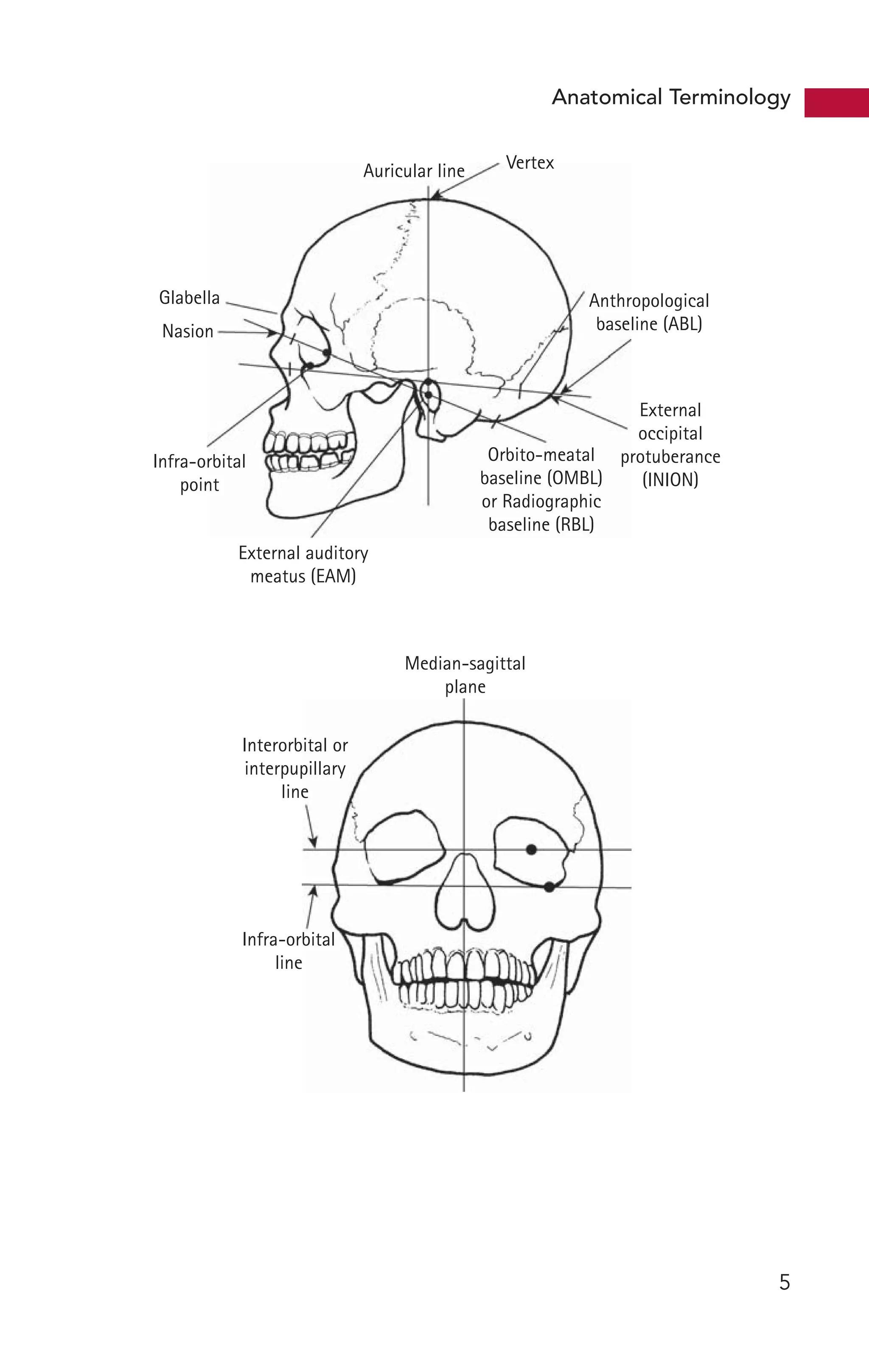 Clarks Pocket Handbook for Radiographers.pdf