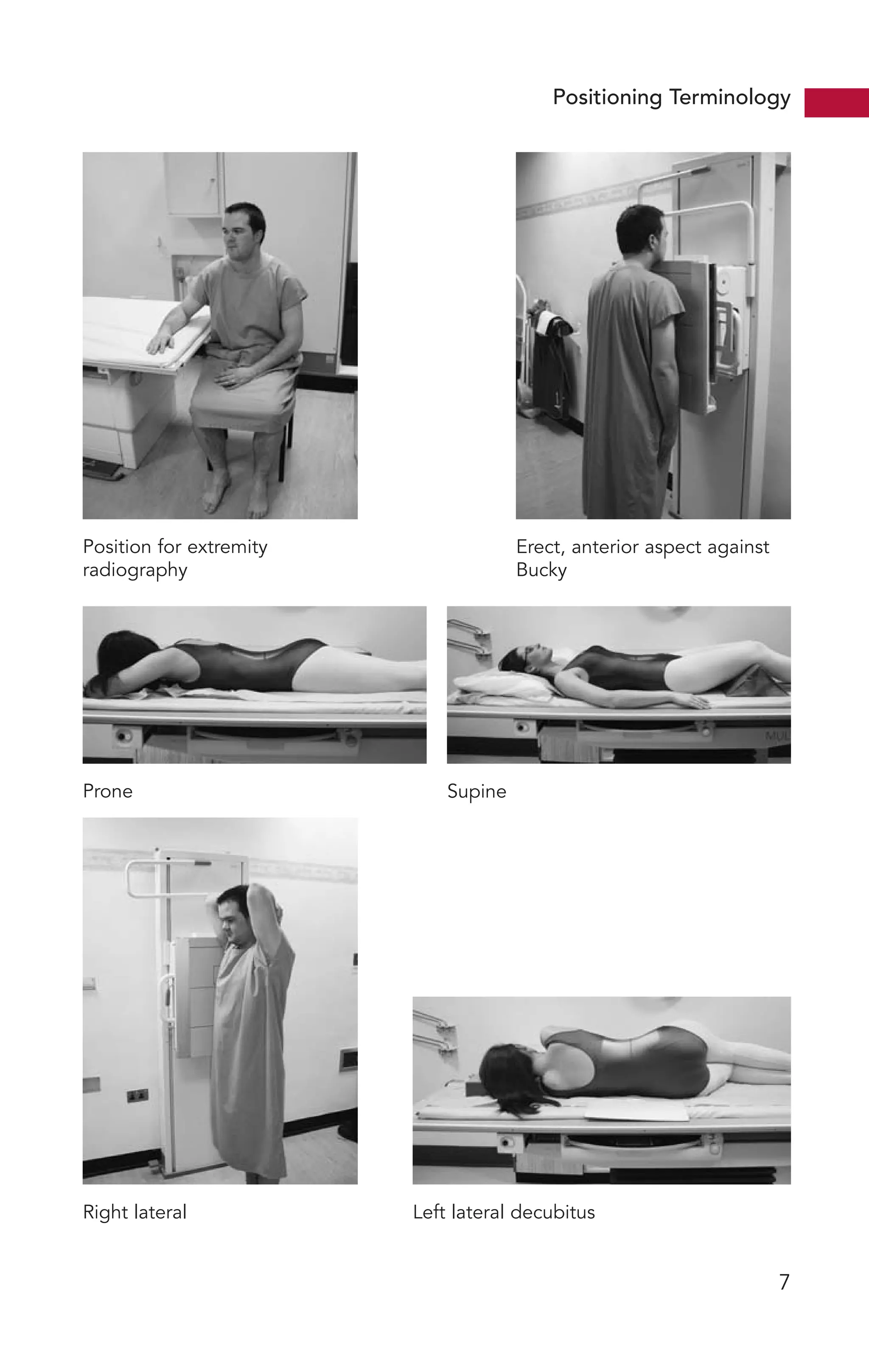 Clarks Pocket Handbook for Radiographers.pdf