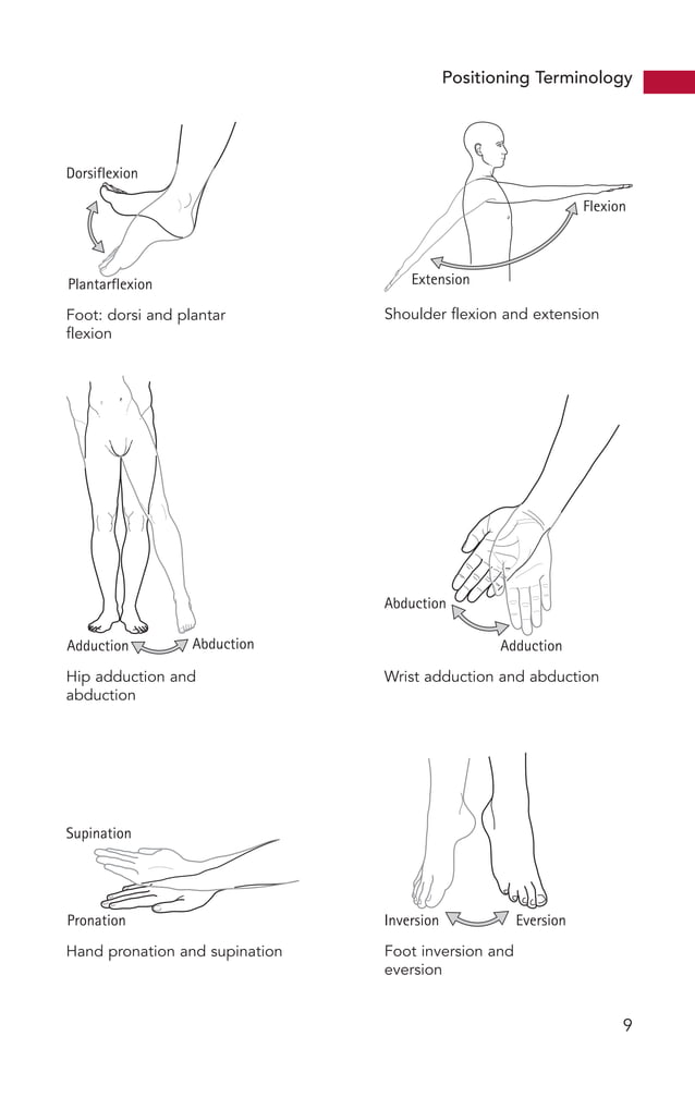 Clarks Pocket Handbook for Radiographers.pdf | Medical Tests | Medical ...