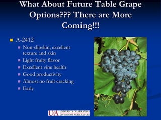 Table Grape Production and Varieties, by John R. Clark | PPT