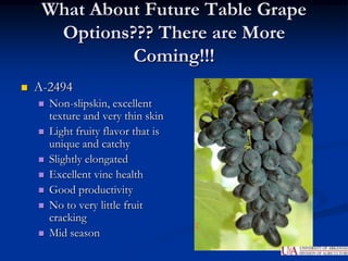 Table Grape Production and Varieties, by John R. Clark | PPT