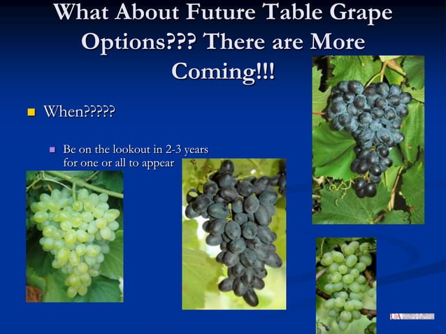 Table Grape Production and Varieties, by John R. Clark | PPT