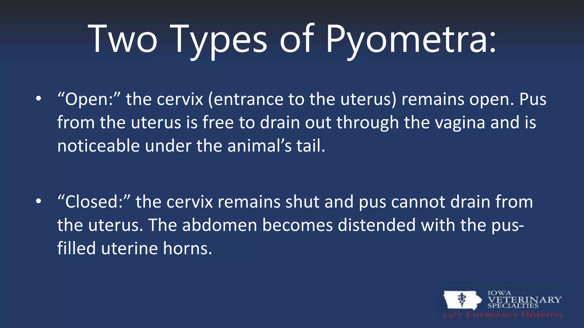 Pyometra | PPTX