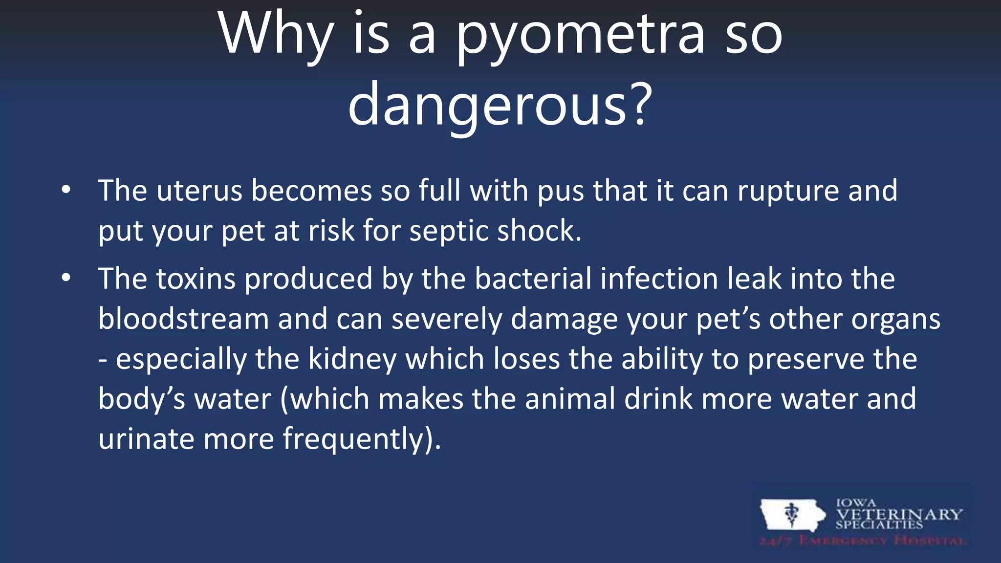 Pyometra | PPTX