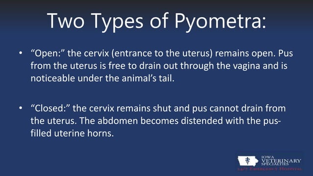 Pyometra | PPT