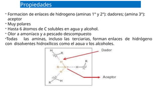 CLASE - 03 - AMINAS.pptxnnvjgcgcgcgcgjcjgcgcf | PPTX