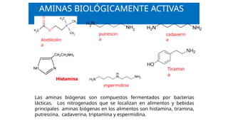 CLASE - 03 - AMINAS.pptxnnvjgcgcgcgcgjcjgcgcf | PPTX