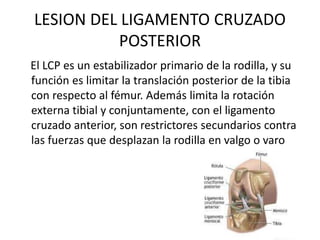 Clase 14.-lesiones-ligamentarias-de-la-rodilla | PPTX