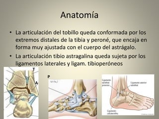 Clase 15.-fracturas-del-tobillo-y-pie | PPTX