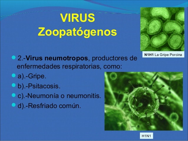 Clase 15-virologia Clase 15-virologia
