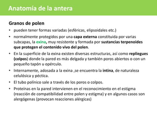 La importancia de la anatomía de la flor | PDF