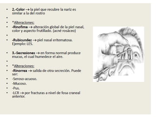 Examen Fisico Cabeza Y Cuello Ejemplo Hotsell | innoem.eng.psu.ac.th