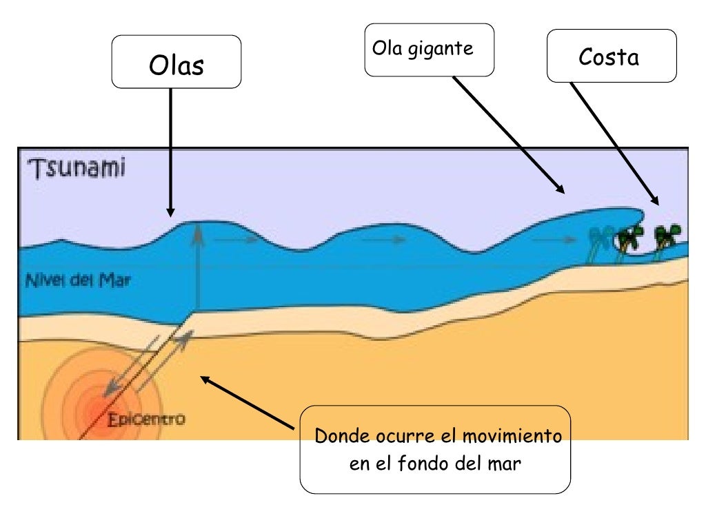 Como Se Forman Los Tsunamis