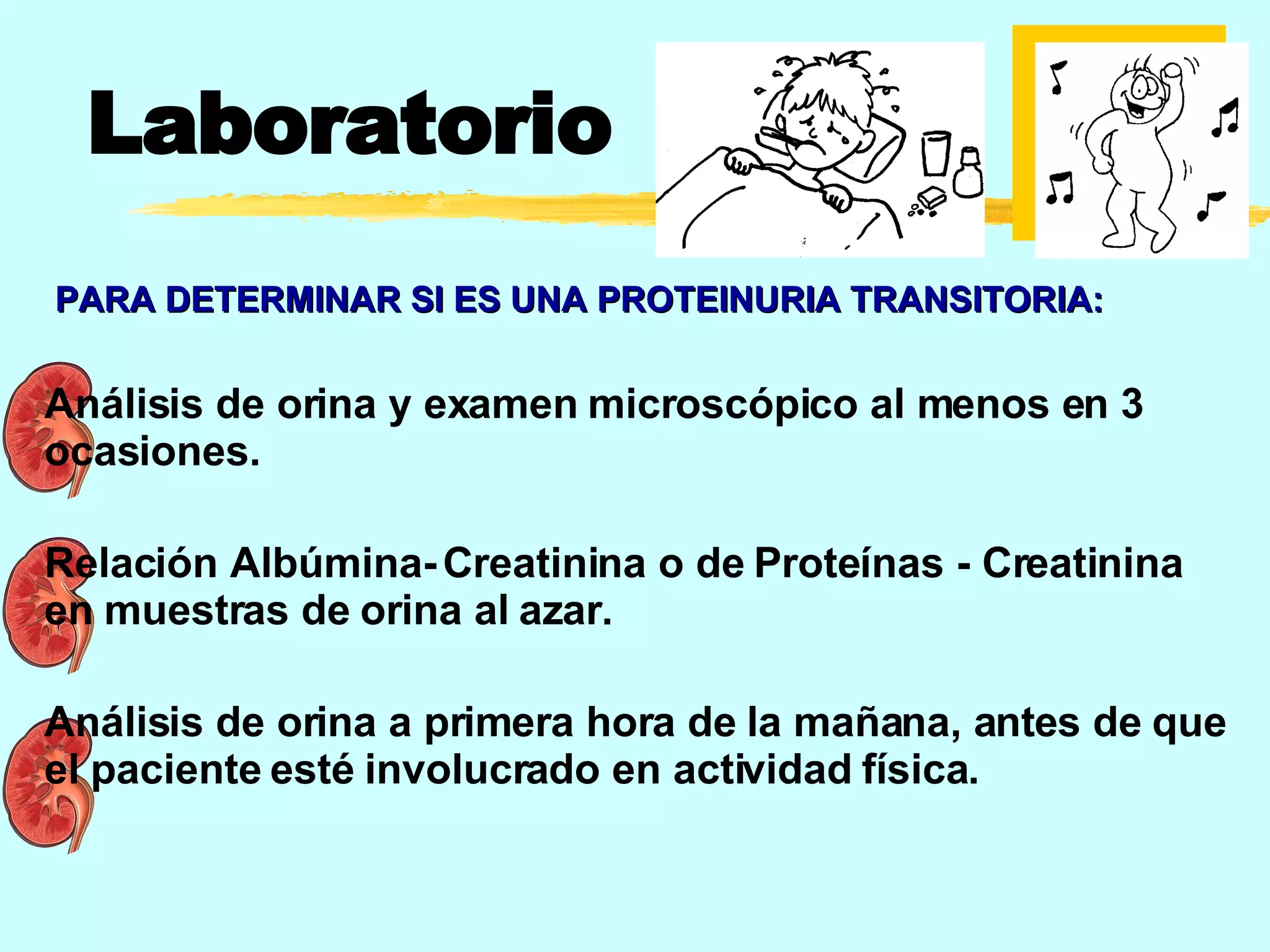 Proteinuria y sus causas | PPT