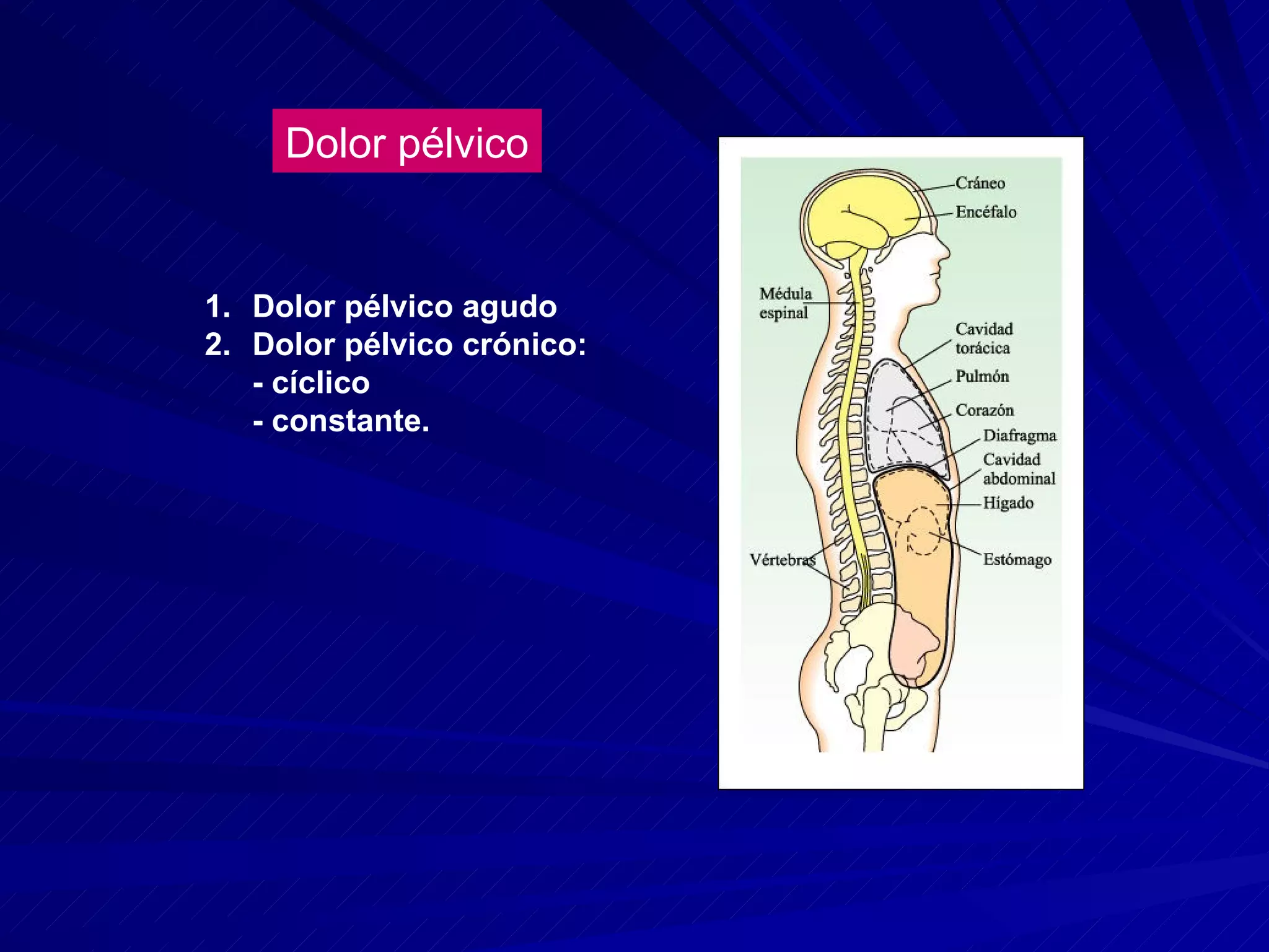 Dolor Pelvico Cronico | PPT