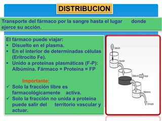 CLASE-FARMACOCINETICA-CLASE TECNICO EN FARMACIA.pptx