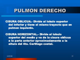 Radiología del Pulmón: anatomía lobar y segmentaria | PPT