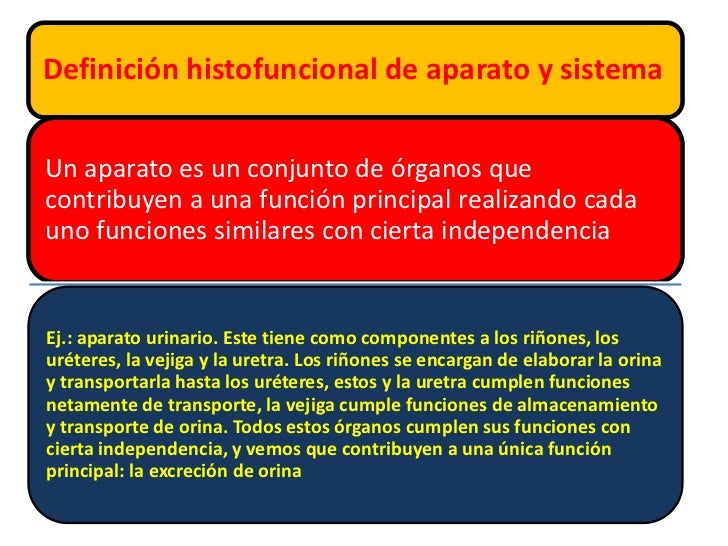 Cual Es La Diferencia Entre Definicion Y Concepto Esta