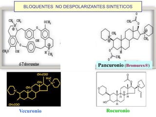 Clase-SNA y su farmacologia.pdf