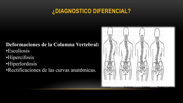CLASE - Diagnóstico diferencial en Fisioterapia para alteraciones de la ...