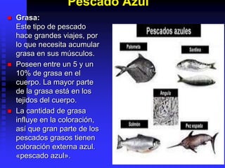 Clase01 composicion mariscos | PPTX