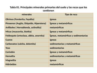 Comprehensive Study of Earth's Rocks: Igneous, Sedimentary, and ...