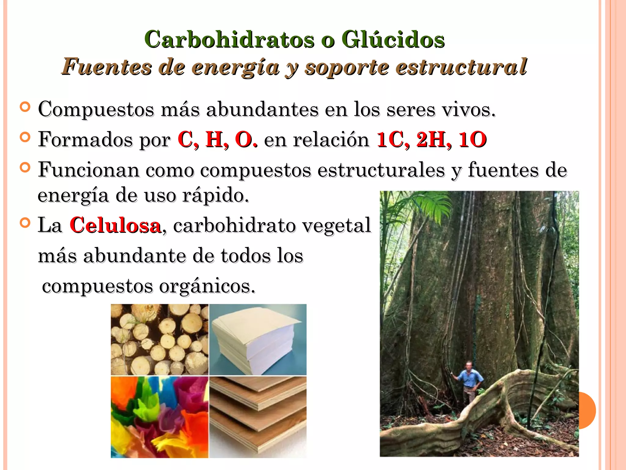Clase 02 compuestos organicos | PPT